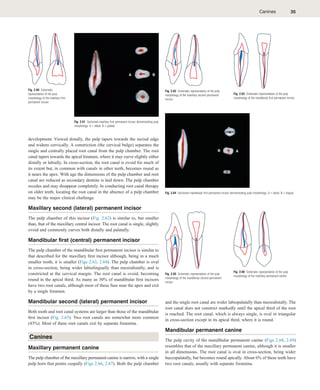 B.K.B. Berkovitz_ G R Holland_ Bernard J Moxham - Oral Anatomy ...