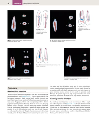 B.K.B. Berkovitz_ G R Holland_ Bernard J Moxham - Oral Anatomy ...