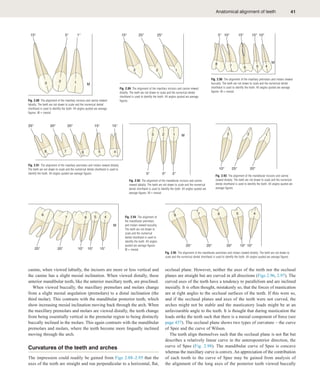 B.K.B. Berkovitz_ G R Holland_ Bernard J Moxham - Oral Anatomy ...