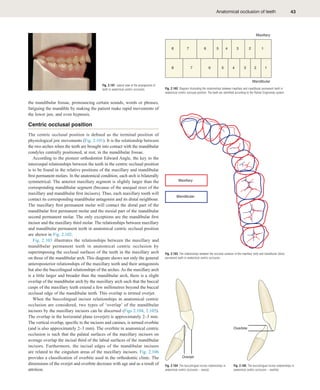 B.K.B. Berkovitz_ G R Holland_ Bernard J Moxham - Oral Anatomy ...