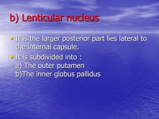 B.GANGLIA (2).ppt