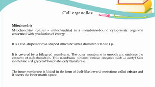 Cell organelles (Nucleus, Mitochondria, ) | PPTX