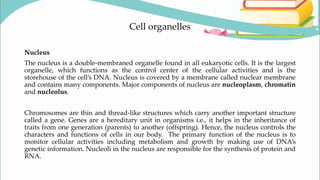 Cell organelles (Nucleus, Mitochondria, ) | PPTX