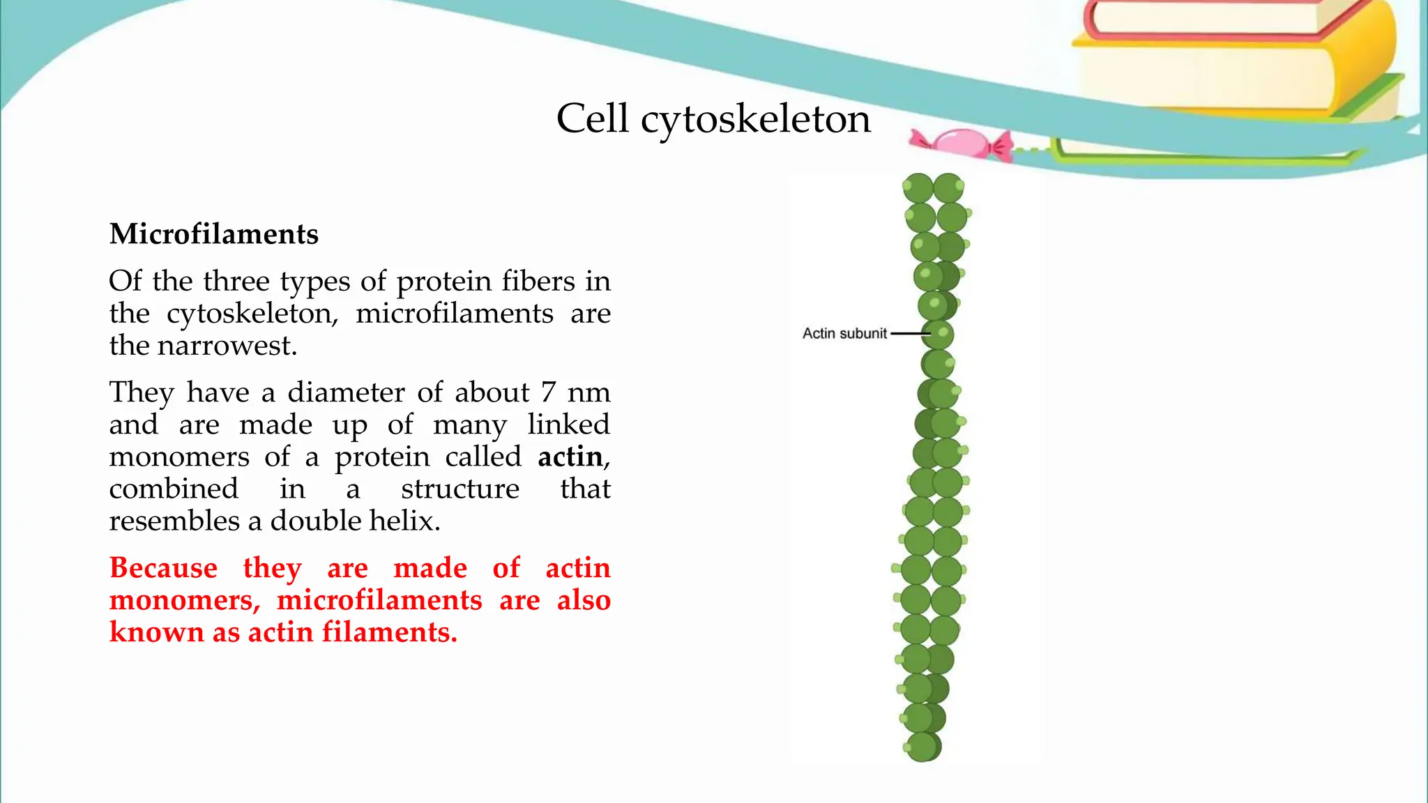 Cell cytoskeleton (filaments and their roles) | PPTX