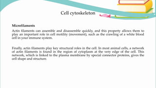 Cell cytoskeleton (filaments and their roles) | PPTX