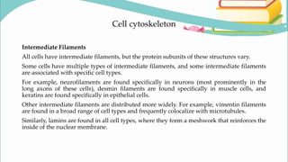 Cell cytoskeleton (filaments and their roles) | PPTX