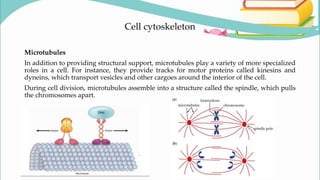 Cell cytoskeleton (filaments and their roles) | PPTX