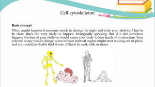 Cell cytoskeleton (filaments and their roles) | PPTX