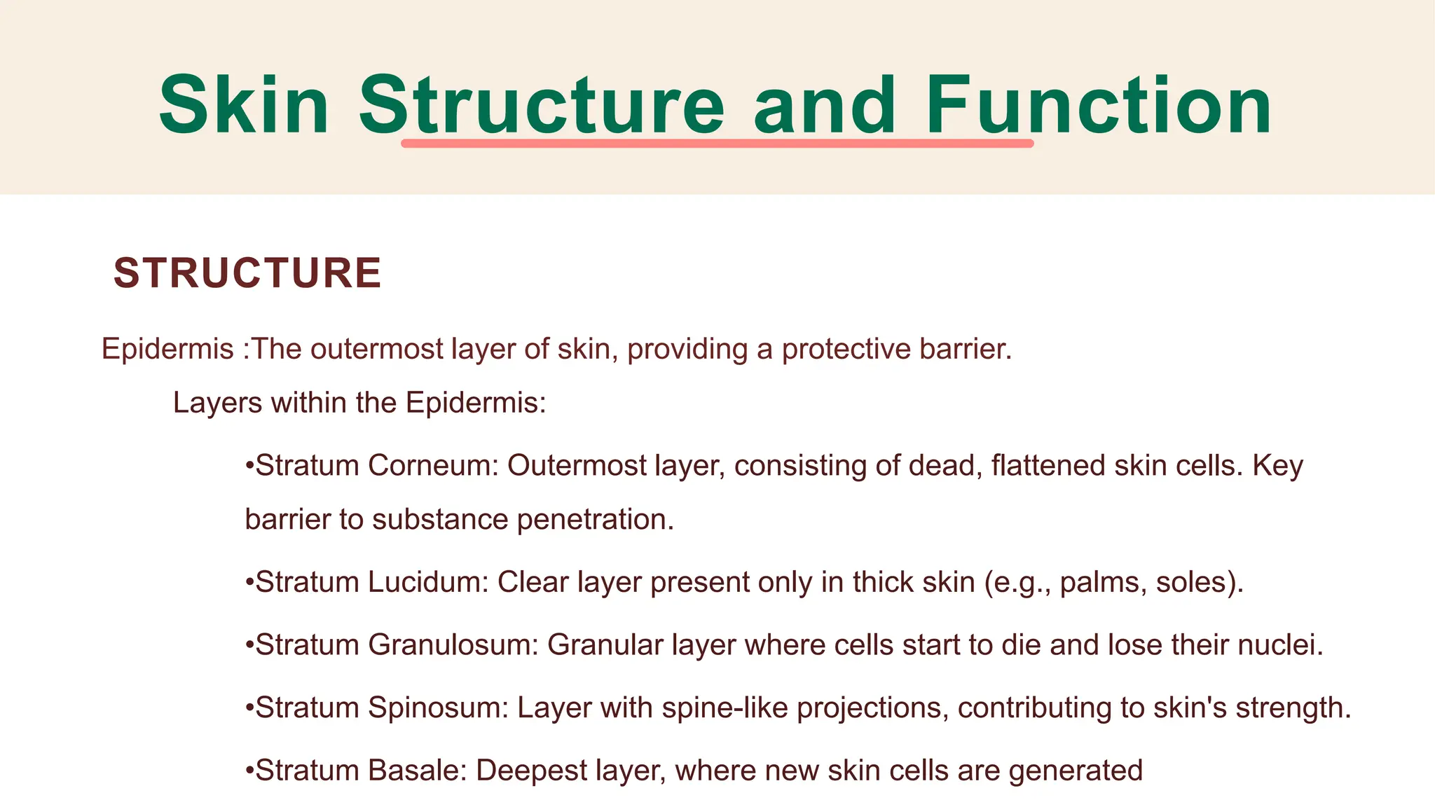 Topical Route of Administration and Percutaneous Absorption | PPTX