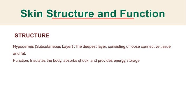 Topical Route of Administration and Percutaneous Absorption | PPTX ...