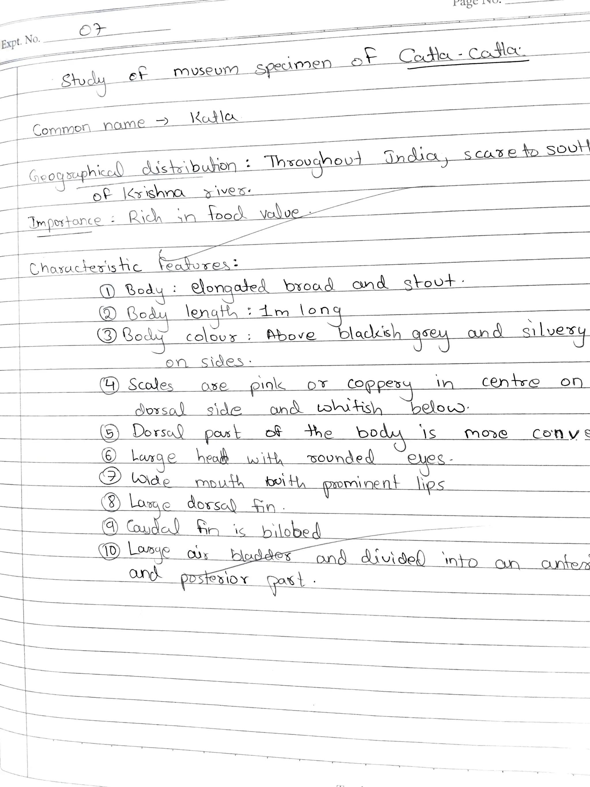 B.Sc. ZOOLOGY HONOURS PART 3 PRACTICAL RECORD | PDF
