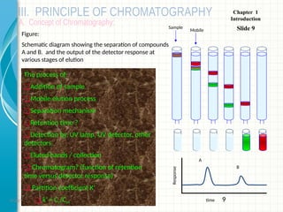 B.Sc I yr Chromatography ppt for Undergraduate Courses | PPTX