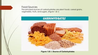 carbohydrates- Topic about macronutrient - carbohydrates | PPTX