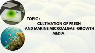 Cultivation of microalgae in Fresh & Marine water | PDF