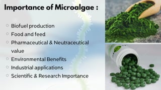 Cultivation of microalgae in Fresh & Marine water | PDF