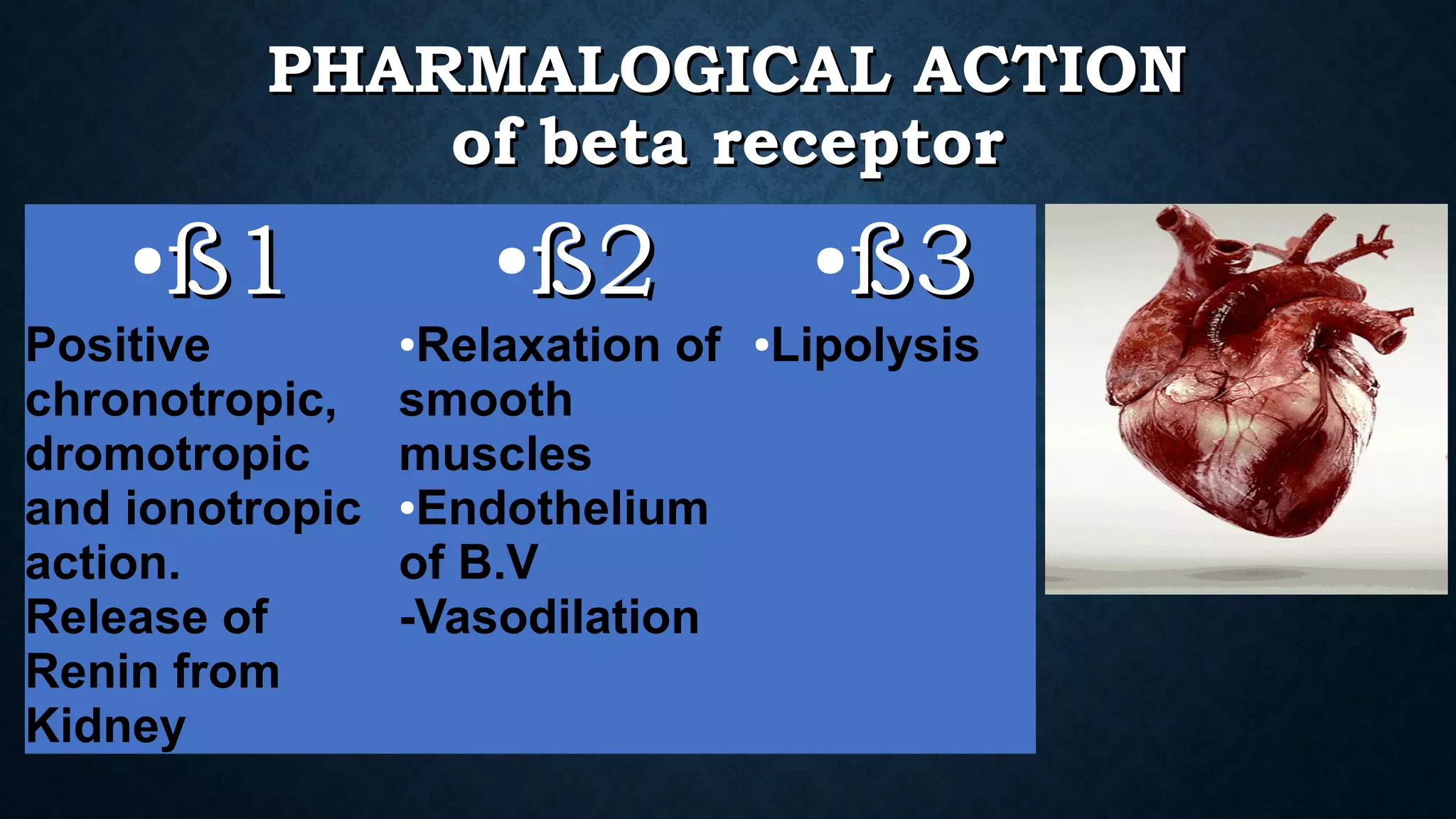 Beta blockers therapy | ODP