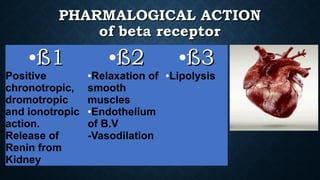 Beta blockers therapy | ODP
