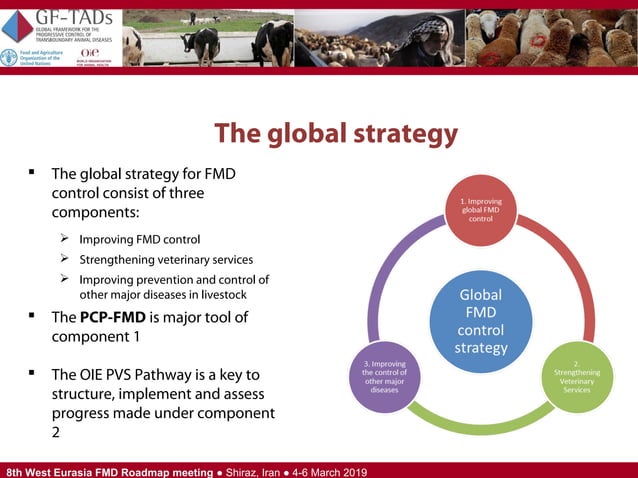 PCP-FMD New Guidelines for Stage Progression - Dr Bouda Ahmadi | PPT ...