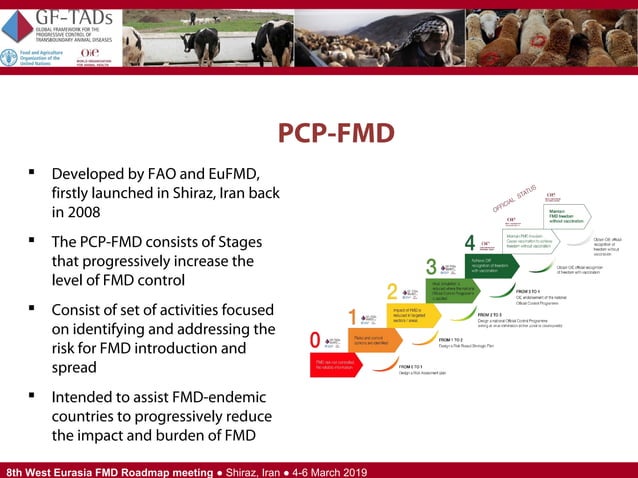 PCP-FMD New Guidelines for Stage Progression - Dr Bouda Ahmadi | PPT ...