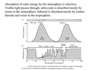 Naturalists at Large: Atmosphere | PPT