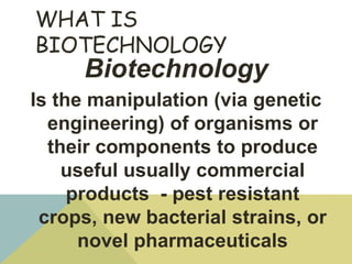 B-BIOTECHNOLOGY.pptx