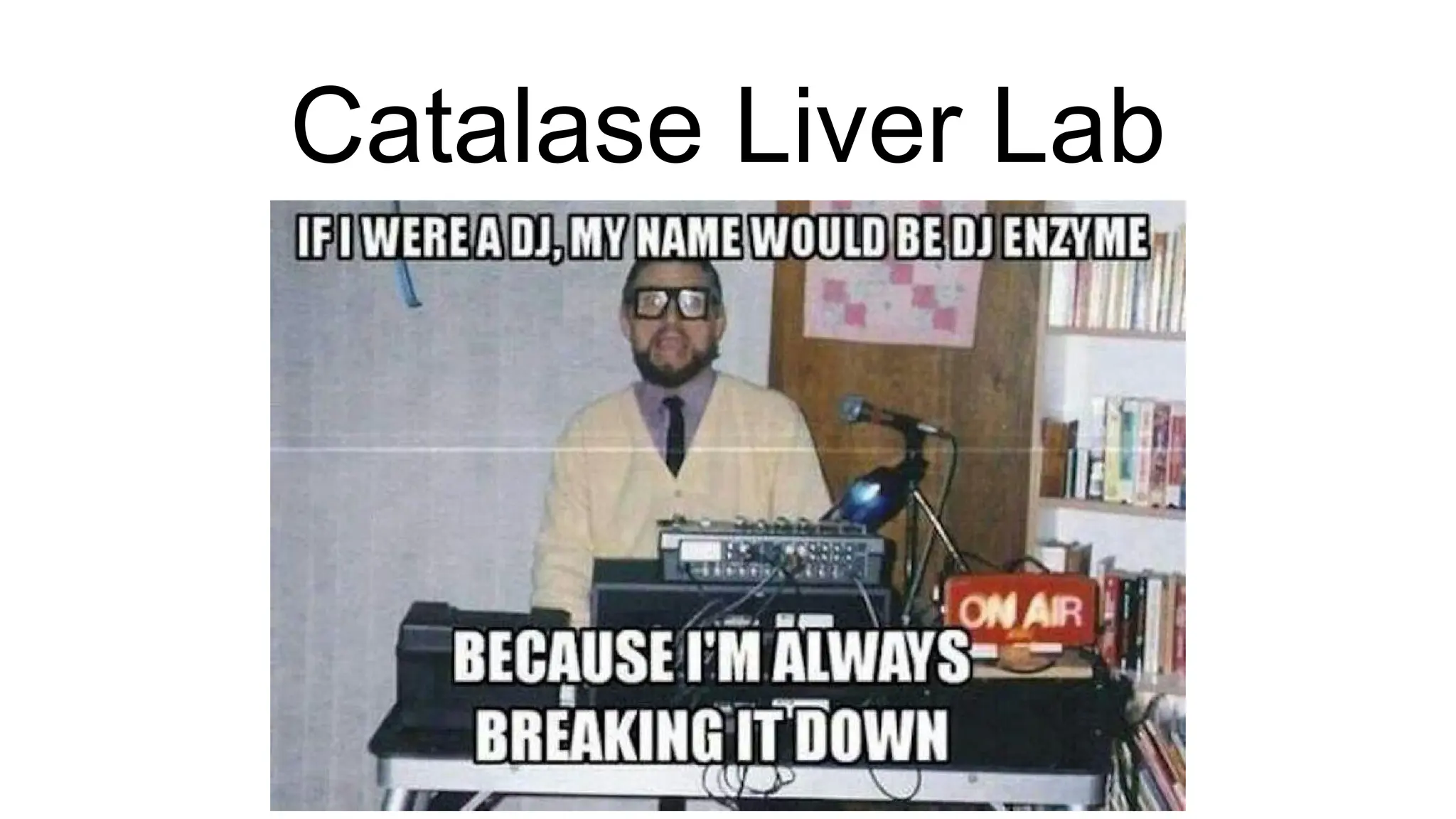 enzyme catalyst lab for highschool freshmen biology | PDF