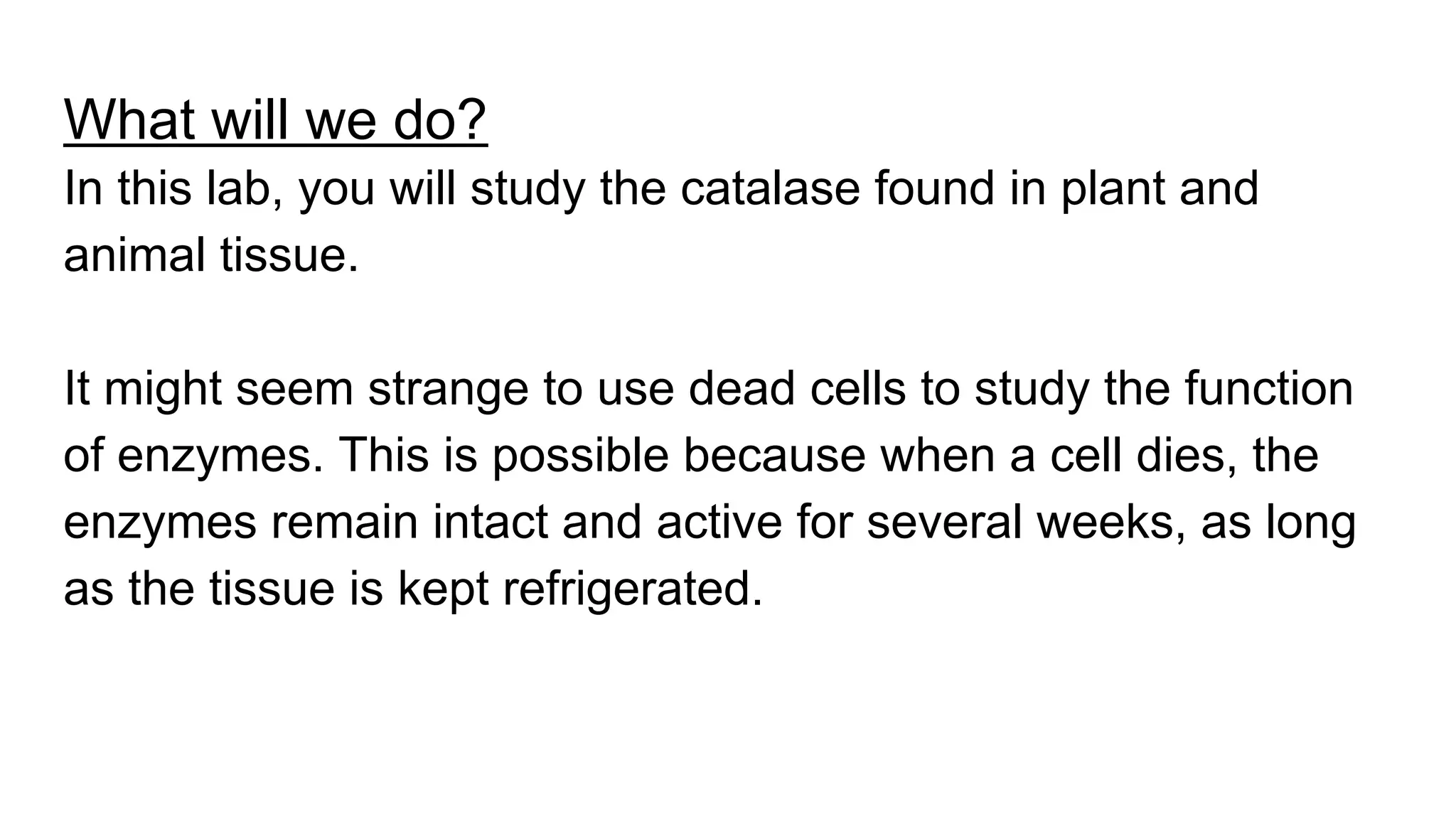 enzyme catalyst lab for highschool freshmen biology | PDF