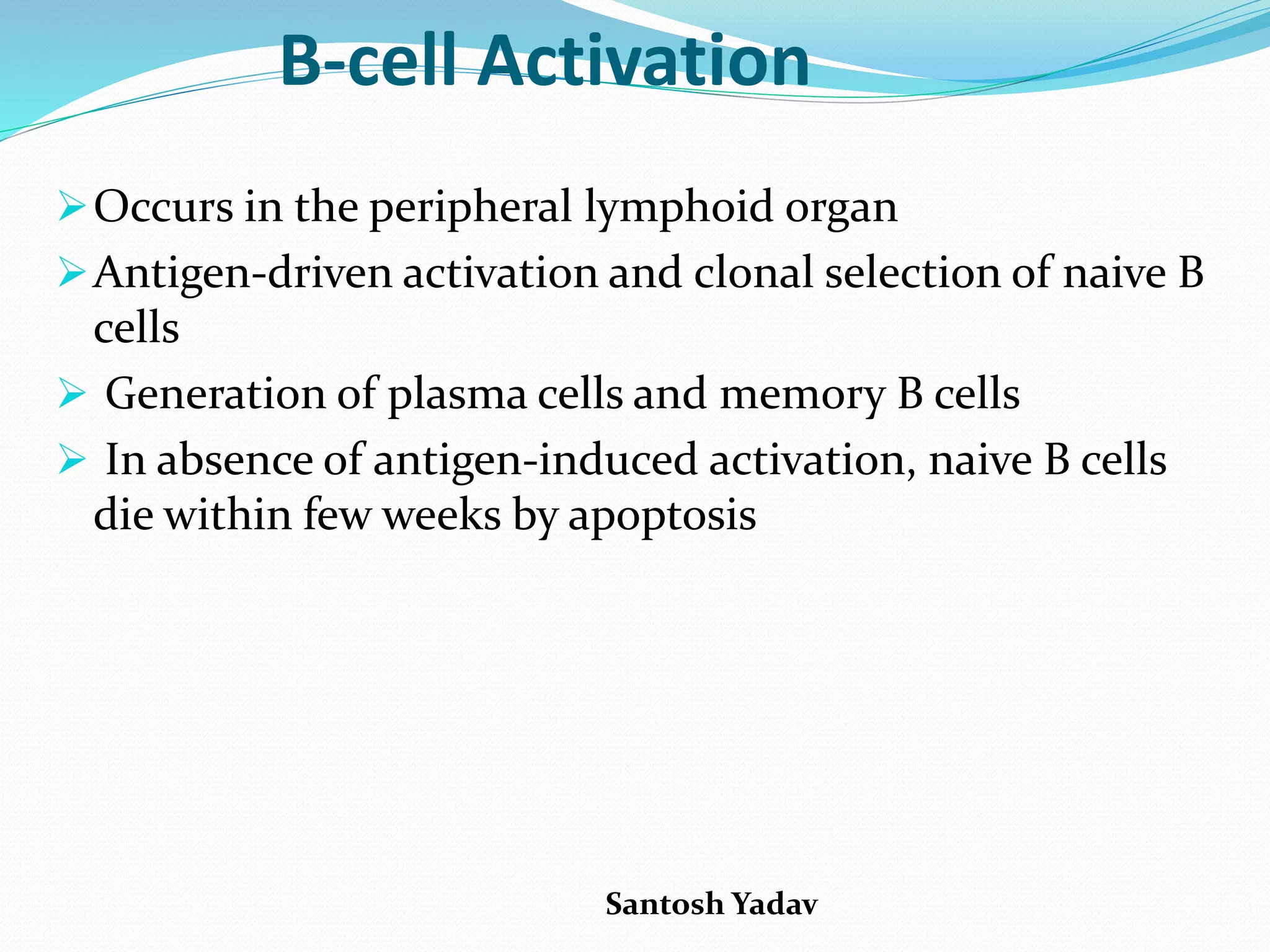 B-cell and humoral immunity | PPTX