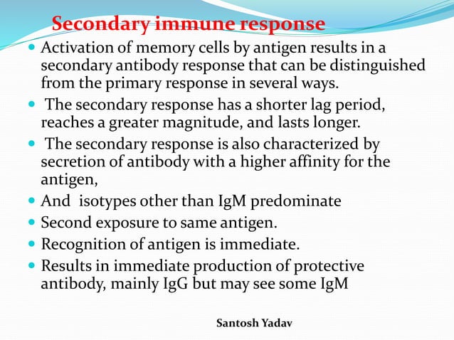 B-cell and humoral immunity | PPTX
