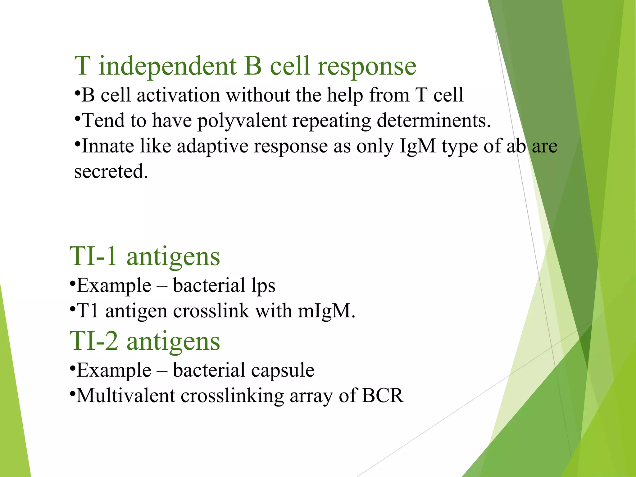 B cell generation-activation_and_differentiation | PPT