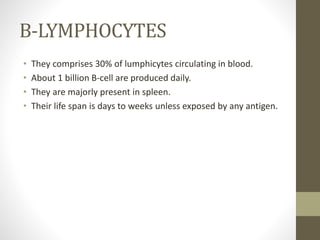 B-lymphocytes and generation | PPTX