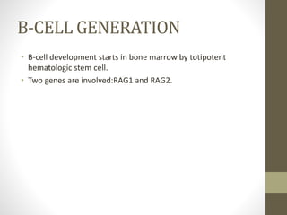 B-lymphocytes and generation | PPTX