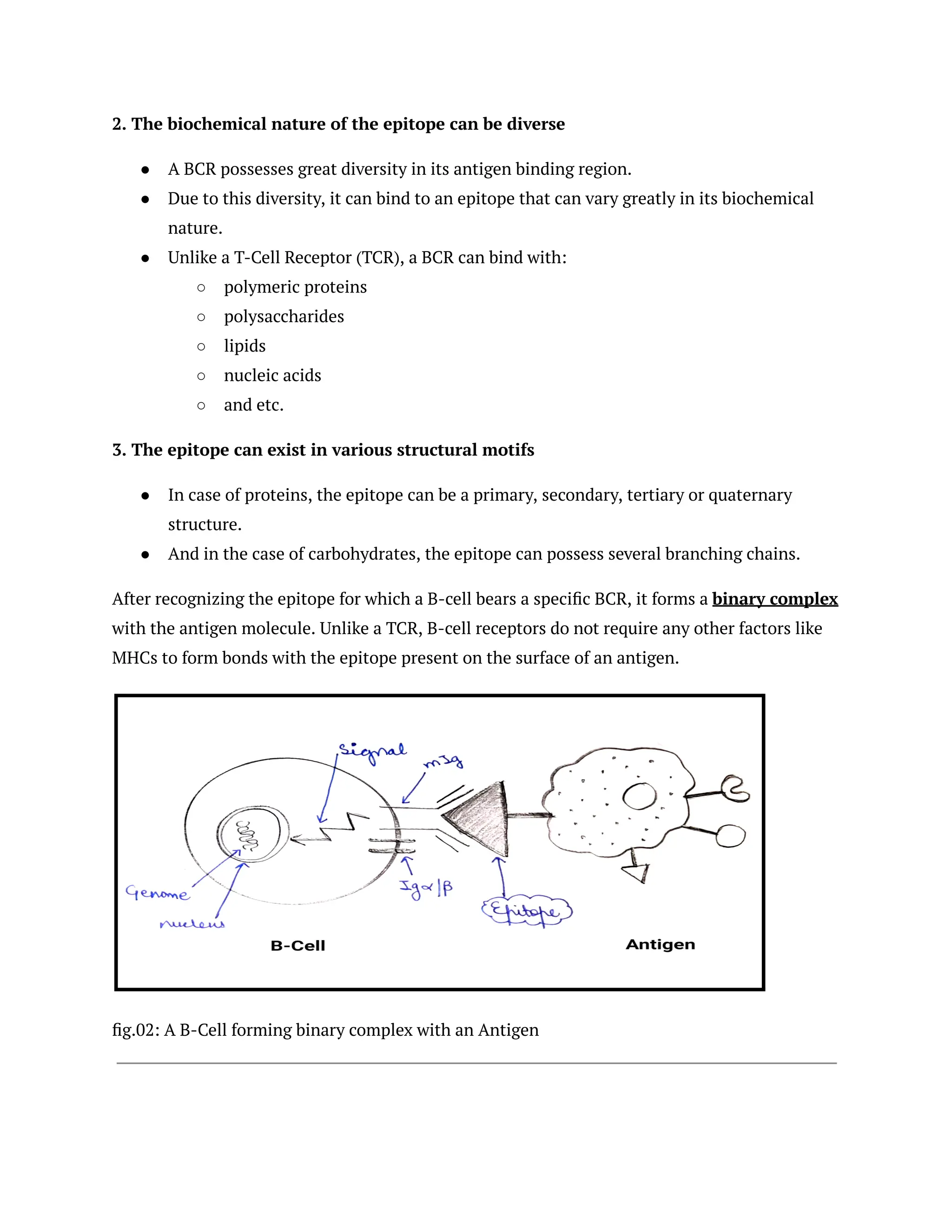 B-Cell Receptor (BCR) structure, function anddiversity .pdf