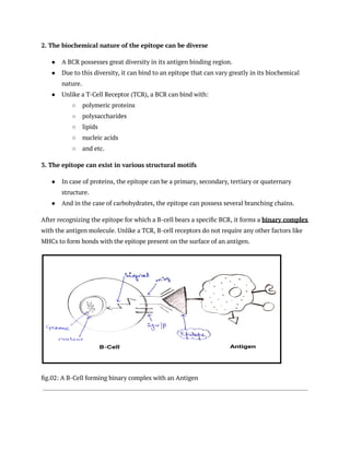 B-Cell Receptor (BCR) structure, function anddiversity .pdf