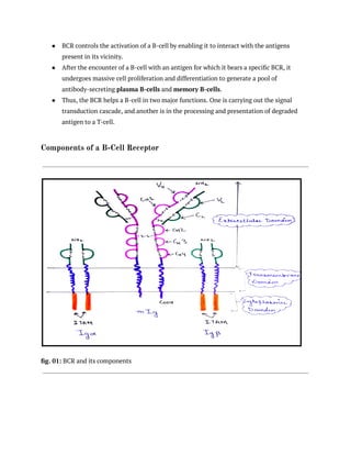 B-Cell Receptor (BCR) structure, function anddiversity .pdf