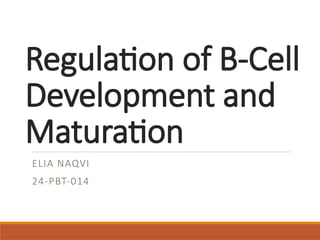 B Cell Maturation and development's regulation - IMMUNOLOGY | PPT