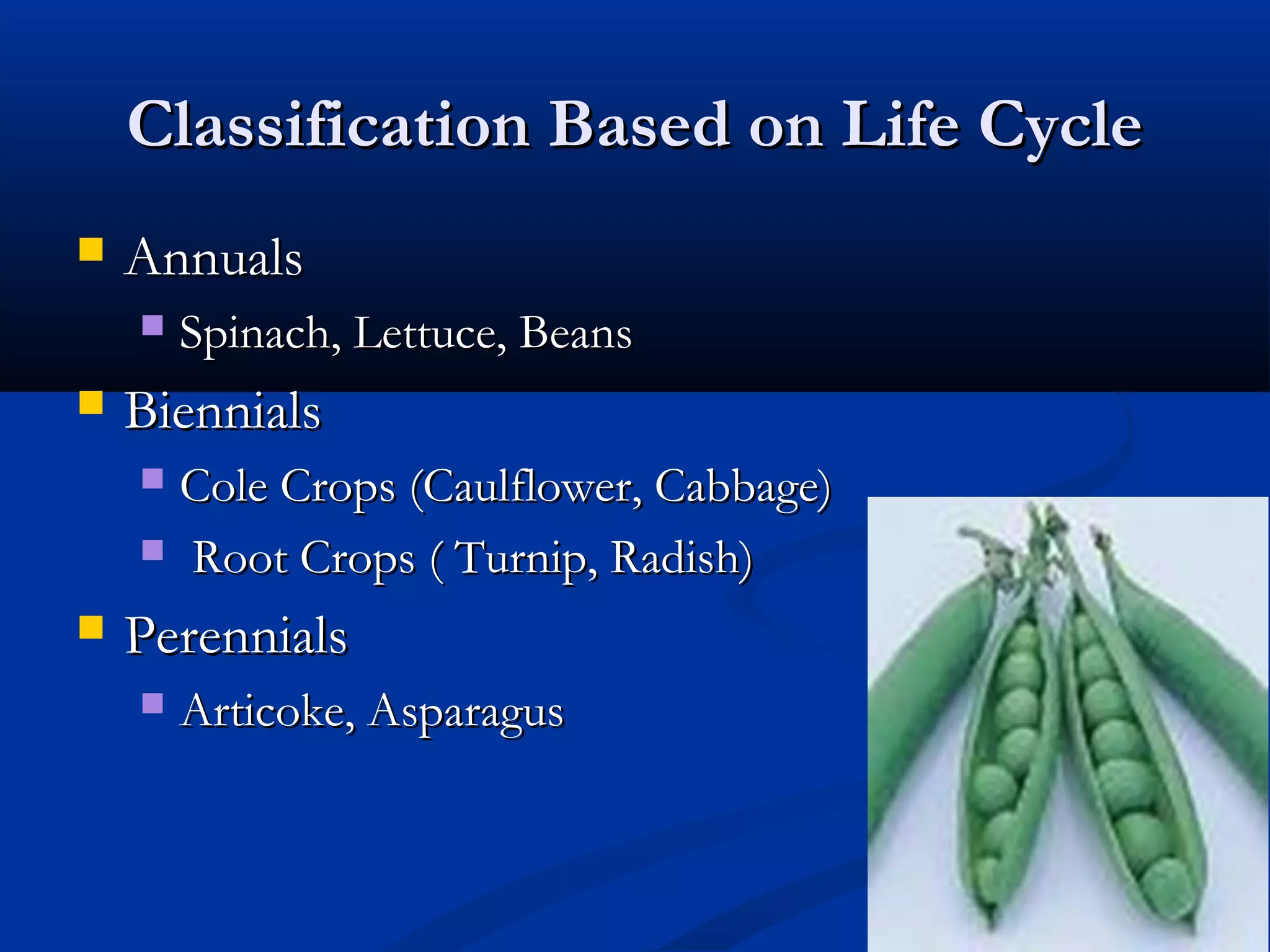 classification of vegetables | PPT