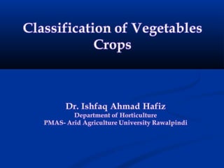 classification of vegetables | PPT