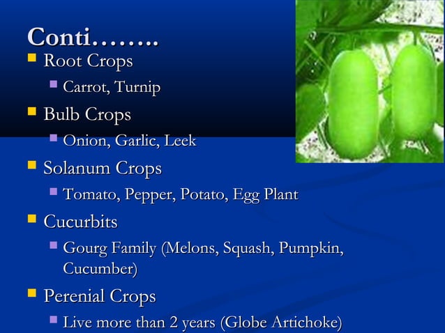 classification of vegetables | PPT