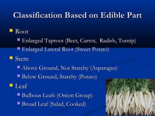 classification of vegetables | PPT