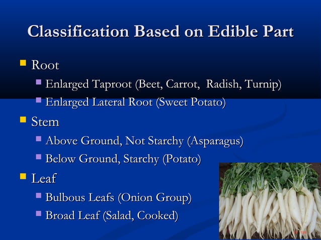 classification of vegetables | PPT
