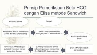 pemeriksaan beta HCG dan progesteron | PPTX