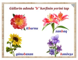B hərfi | PDF