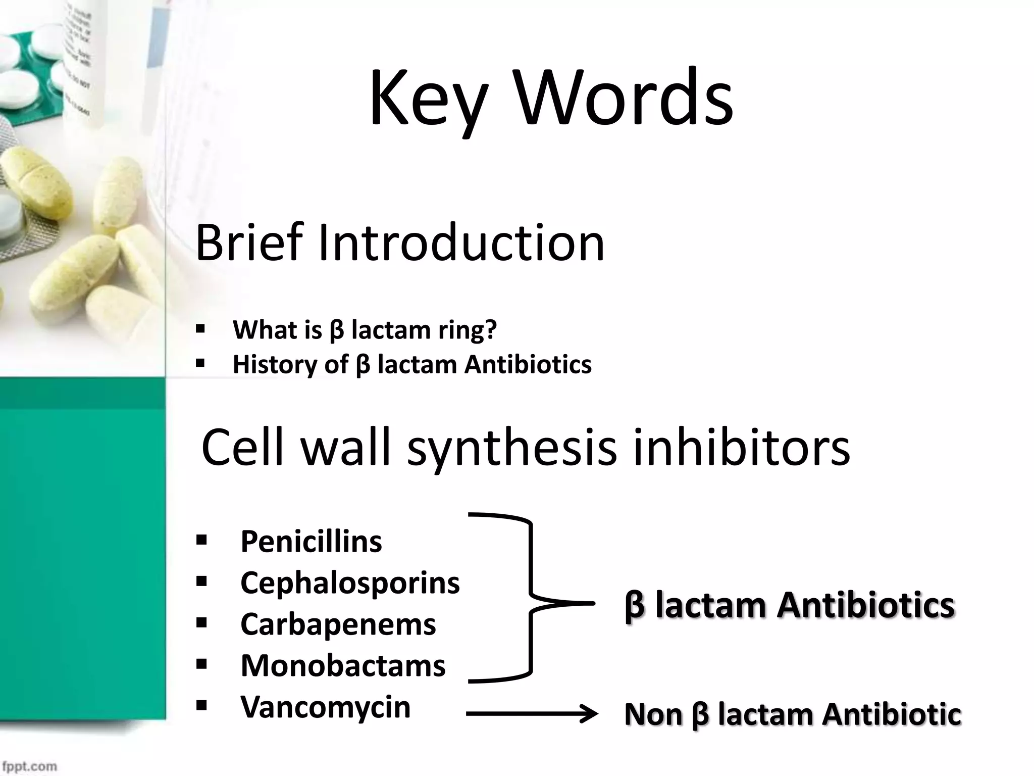 Beta-Lactam Antibiotics | PPTX