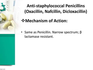 Beta-Lactam Antibiotics | PPTX