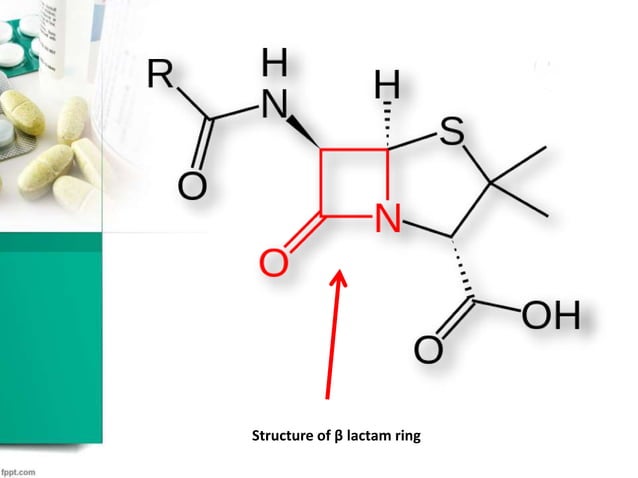 Beta-Lactam Antibiotics | PPTX | Pharmaceutical Drugs | Medical Health