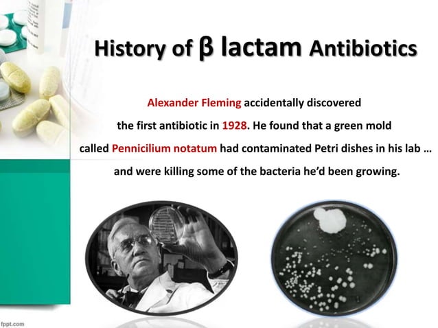 Beta-Lactam Antibiotics | PPTX | Pharmaceutical Drugs | Medical Health