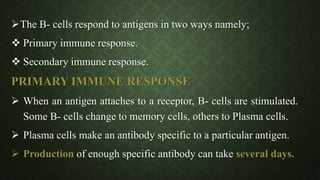 B- LYMPHOCYTES (TYPES AND IT'S FUNCTIONS).pptx