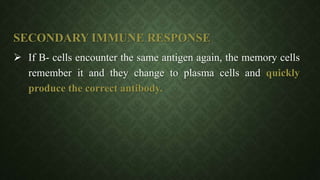 B- LYMPHOCYTES (TYPES AND IT'S FUNCTIONS).pptx