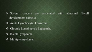 B- LYMPHOCYTES (TYPES AND IT'S FUNCTIONS).pptx